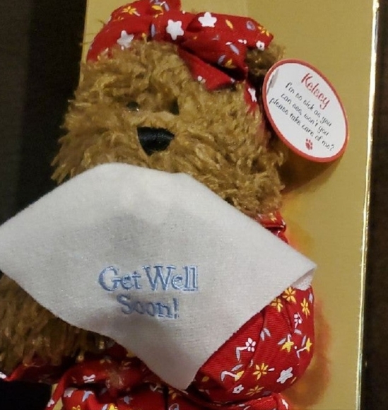 kelsey | Toys | Kelsey Get Well Soon Bear | Poshmark